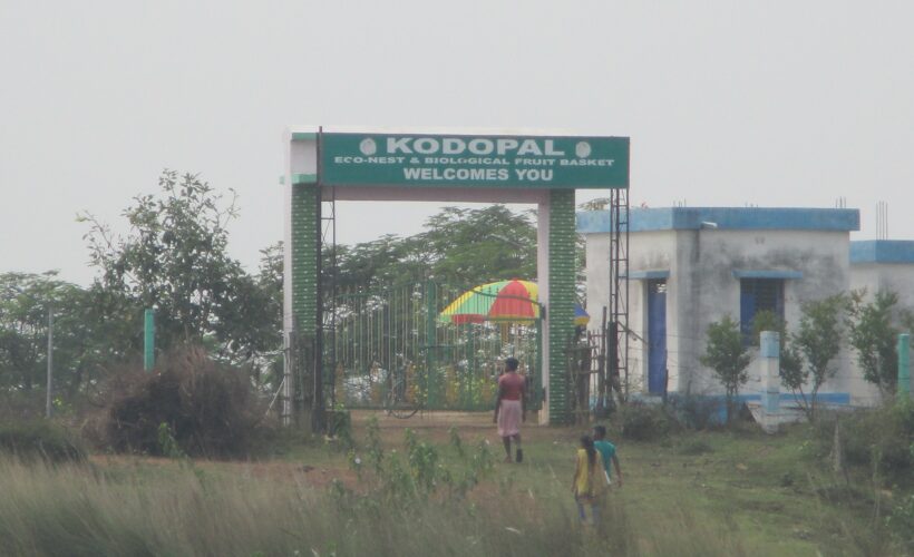 Sutan Forest Camp a Tribal Village In Bankura 2024