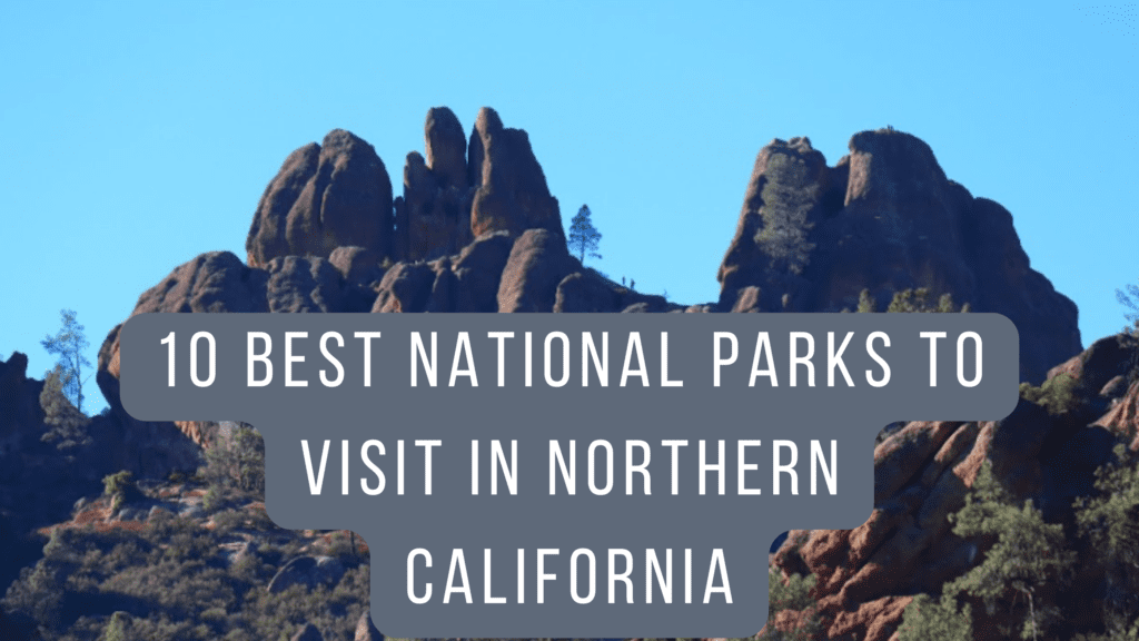 National Parks in Northern California Explore The Best