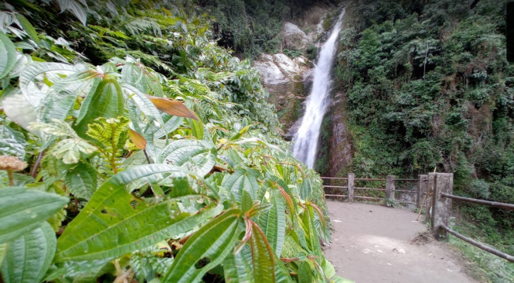 Changey Waterfall Tour Guide In Lava Neora Valley | Timings | Entry Fee ...