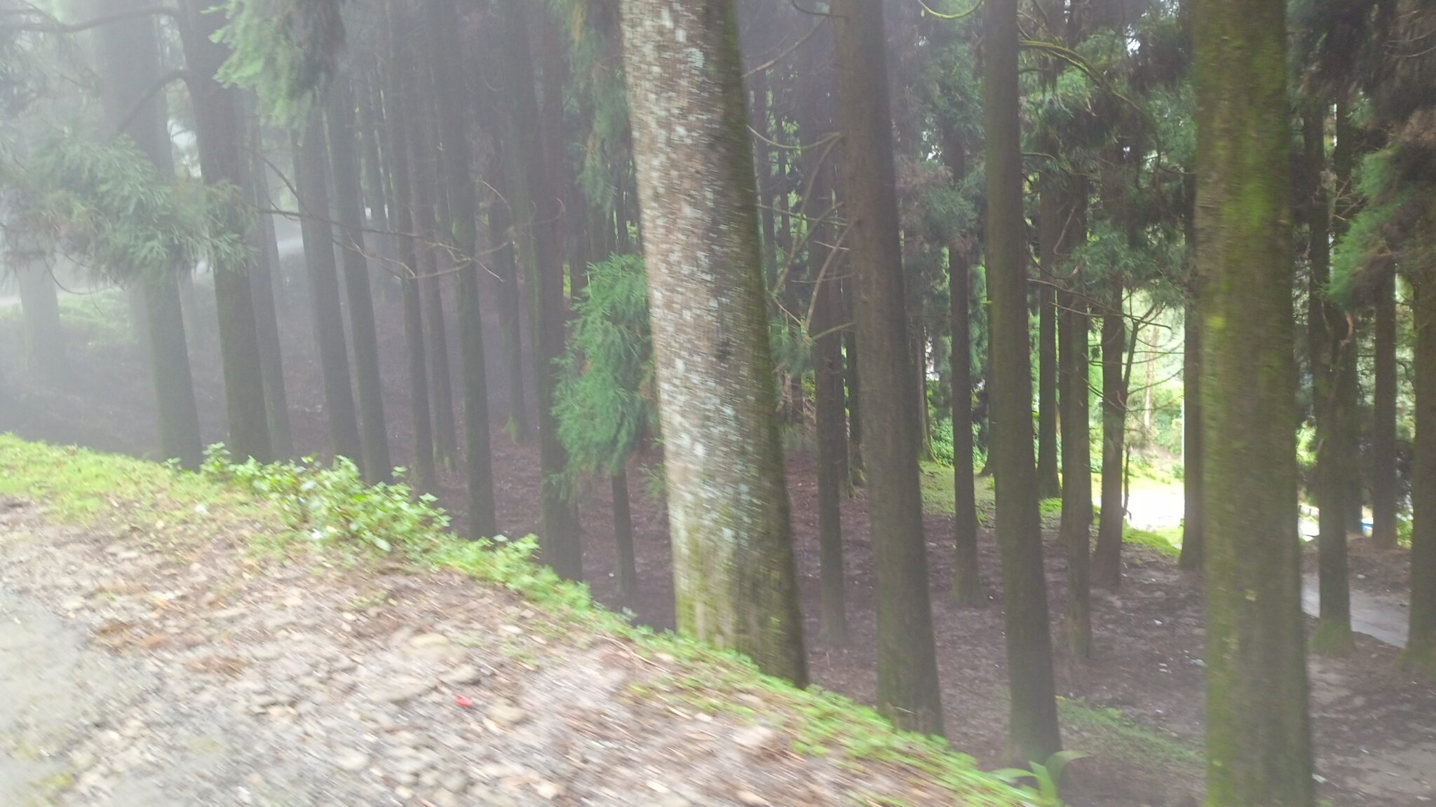 Places to Visit In Rishyap or Rishop View Point Kalimpong